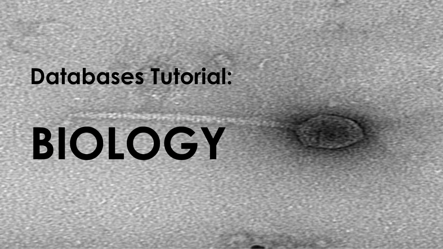 Database Research Tutorials | University of West Alabama